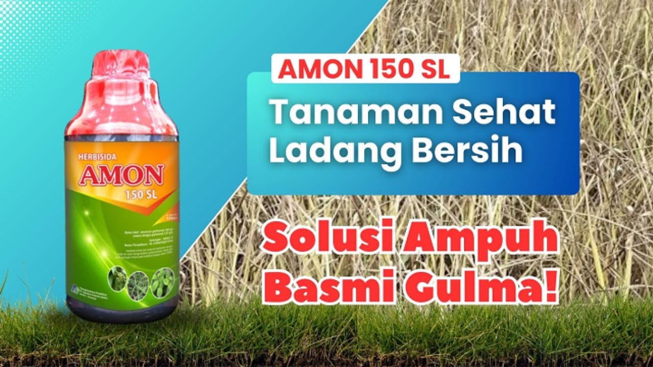 Sekilas Produk CBA: Herbisida - Amon - YouTube