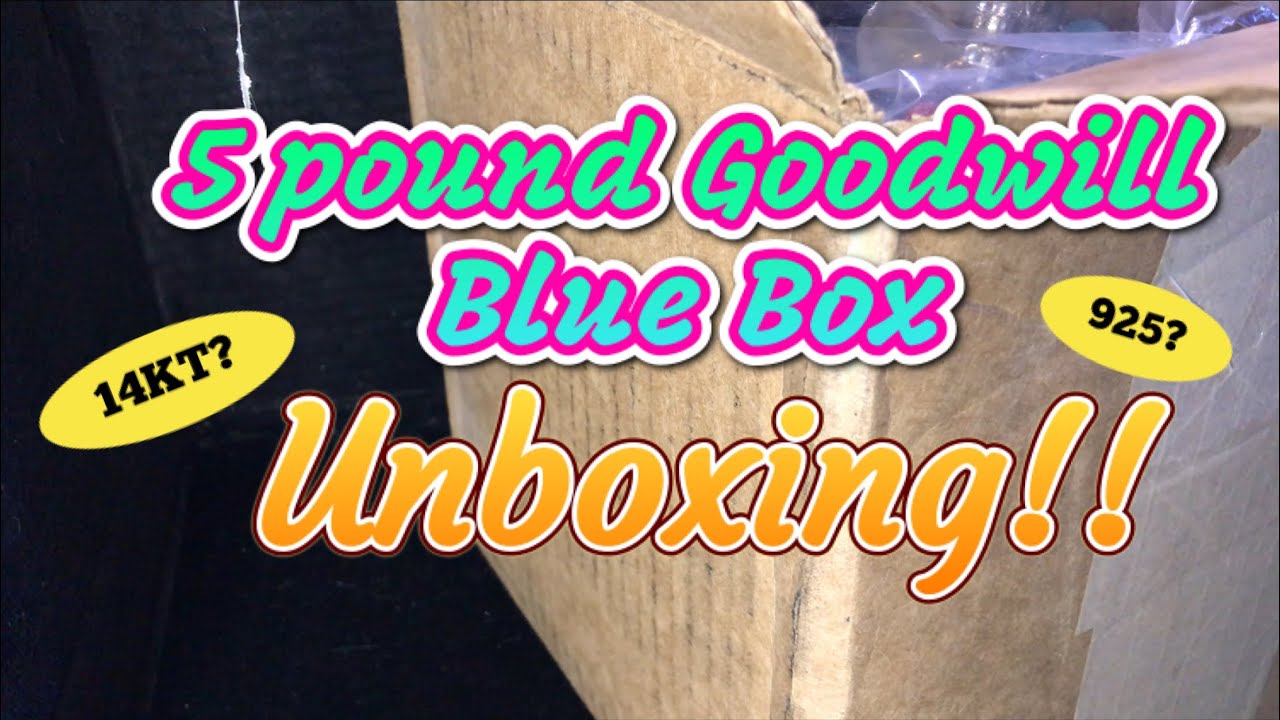 Unboxing 5 pound Goodwill Blue Box Part 1 - YouTube