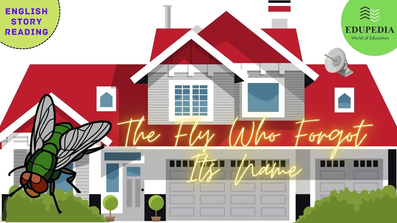 Learn English Through Story - "The Fly Who Forgot Its Name" | English ...