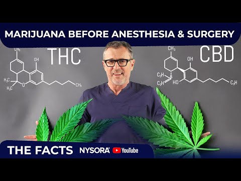 When Should I Stop Smoking Weed Before Knee Surgery