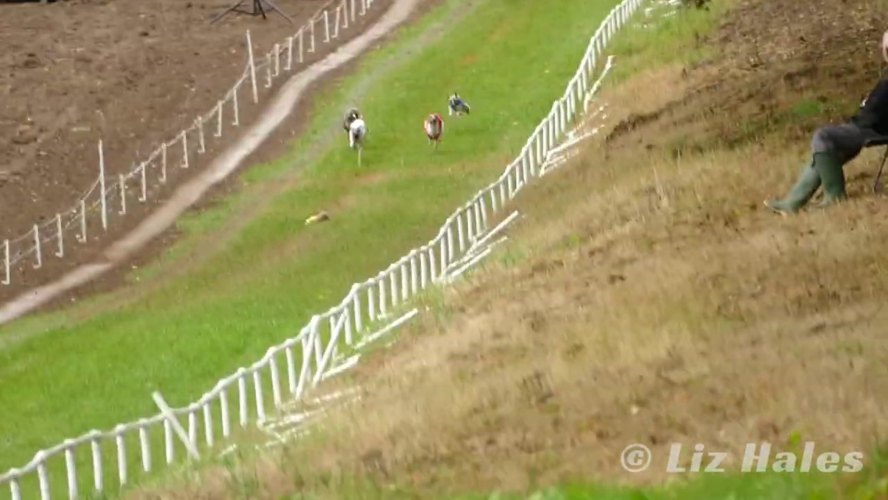 WCRA 3rd Championships 2018 Main 22lb Final - YouTube