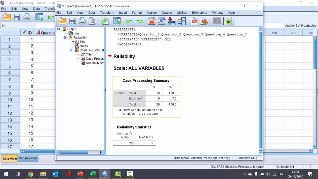 How To... Calculate Cronbach's Alpha in SPSS - YouTube