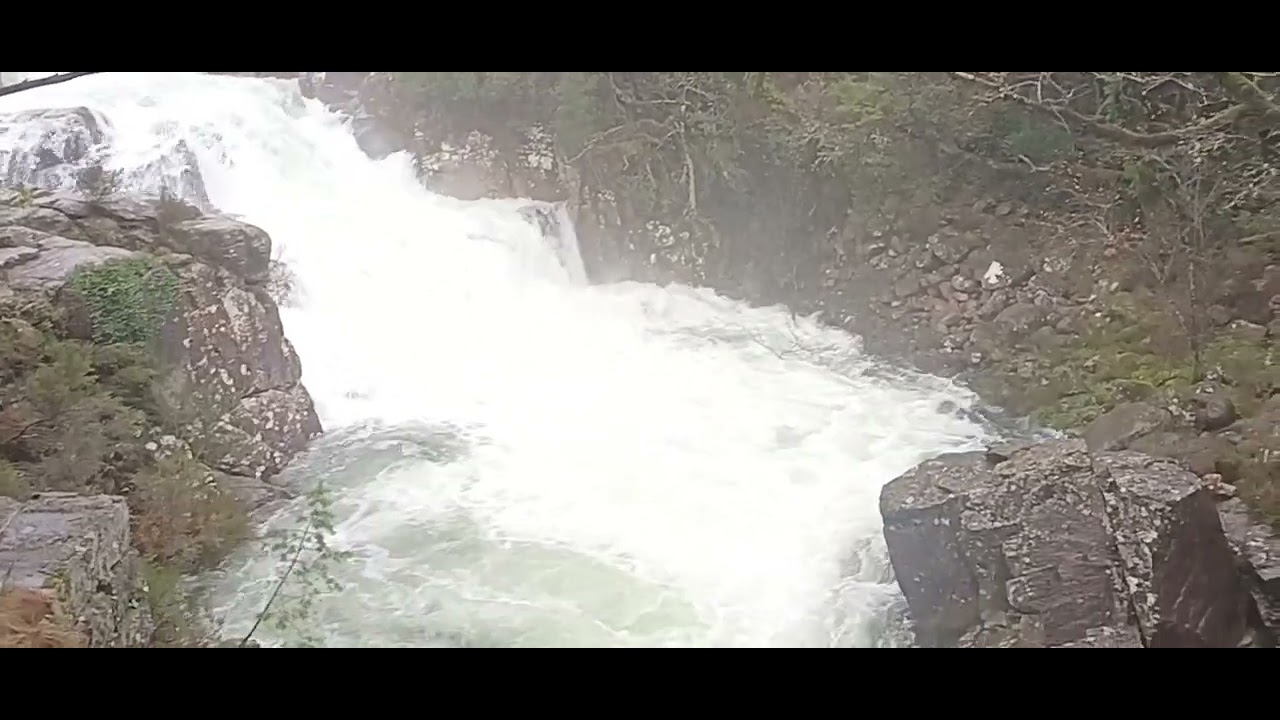 Rio Homem - 22 de Dezembro de 2022 - YouTube