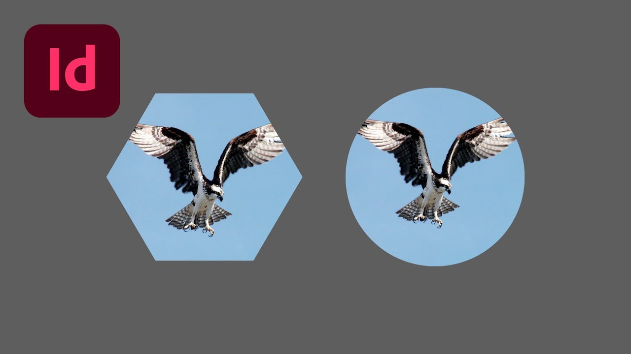 How to Create a Shape Out of an Image in Adobe InDesign - YouTube