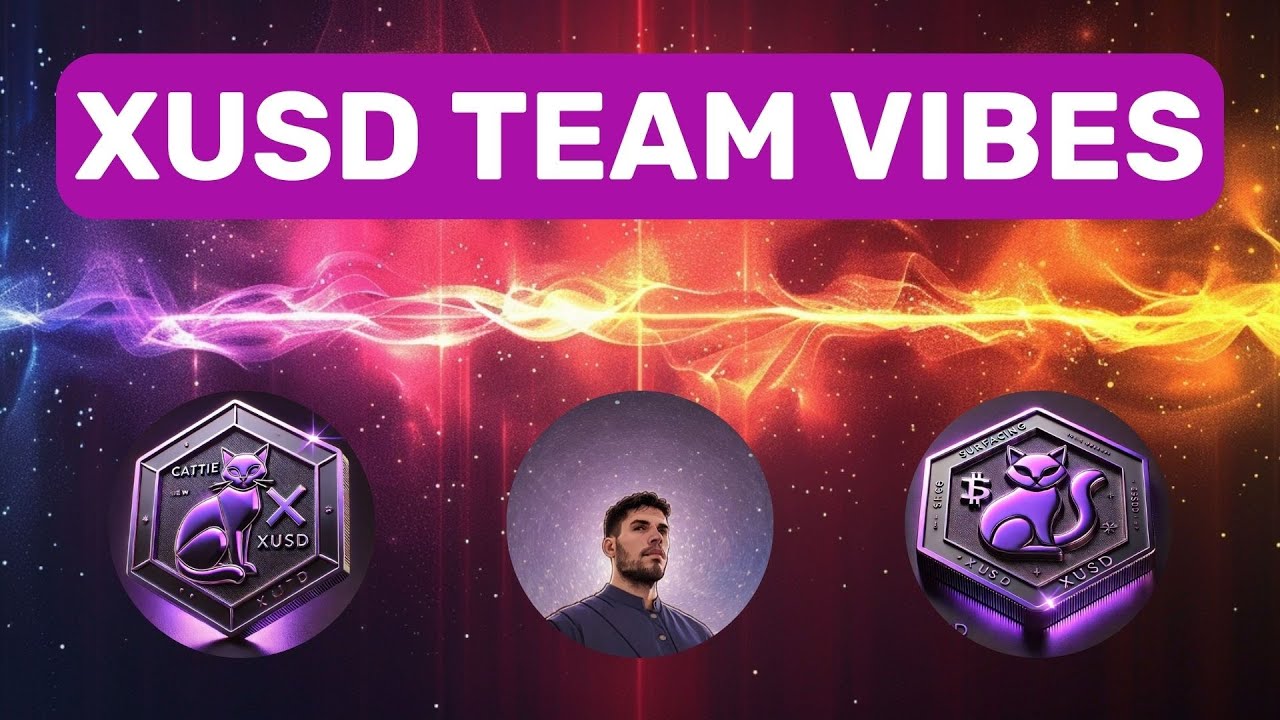 XUSD Team Vibes | Kotryna and John (Surfacing) | VibePass Calculations ...