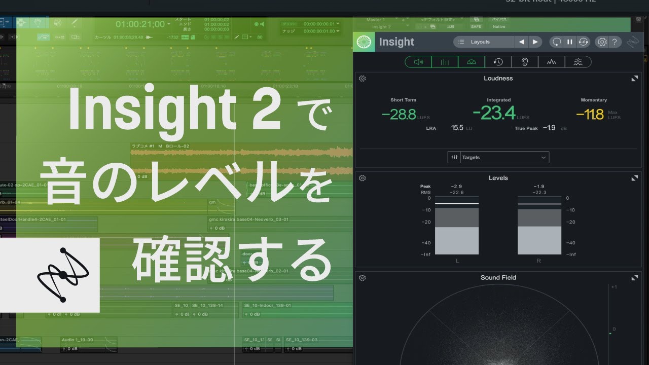 Insight 2でレベルを確認する - YouTube