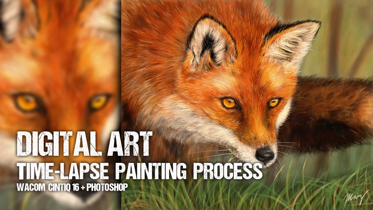 Digital drawing of Fox in photoshop - Speed Painting - YouTube