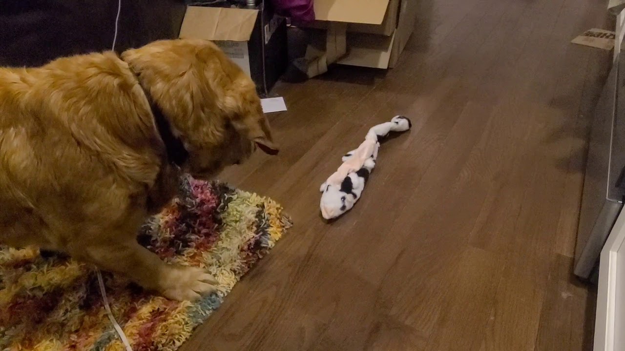 Cletus Brown - YouTube