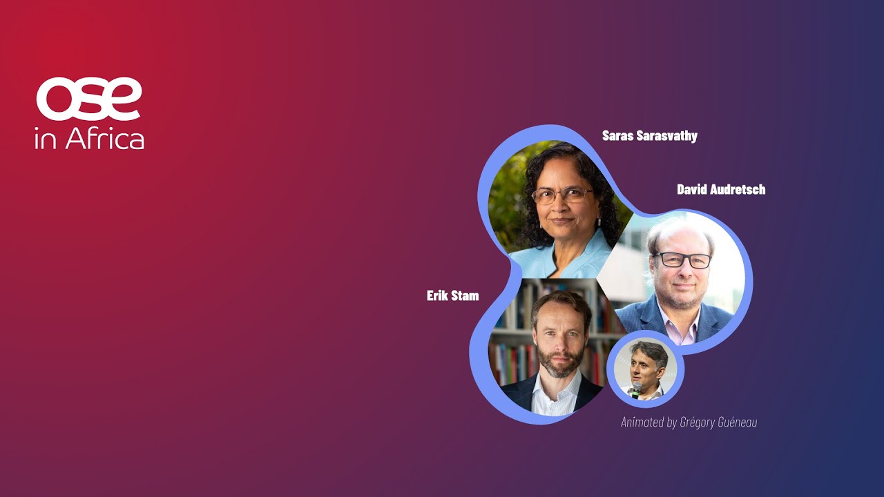 Entrepreneurial Ecosystem: Western-Centric Metrics vs African Realities ...