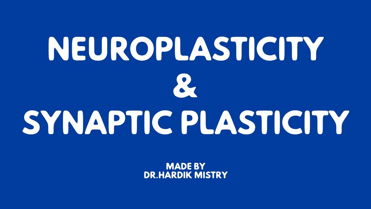 NEUROPLASTICITY AND SYNAPTIC PLASTICITY - YouTube