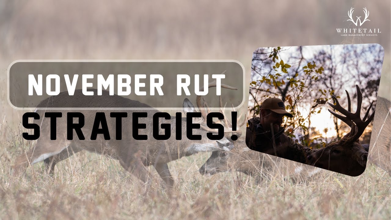 How To Kill A Giant Whitetail In November! - YouTube