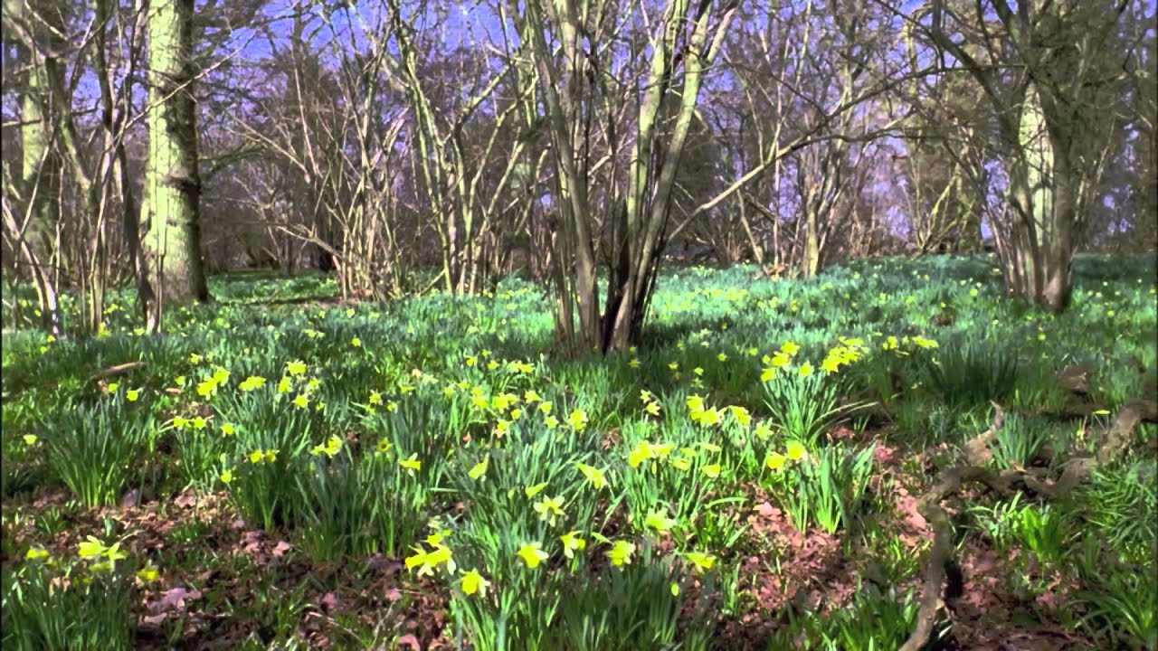 Seasonal transformation Winter to Spring - YouTube