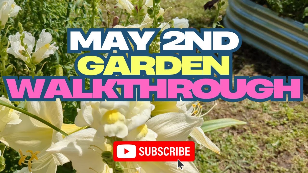 May Garden Walkthrough! Organic Home Garden Tour (No Chemicals!) - YouTube