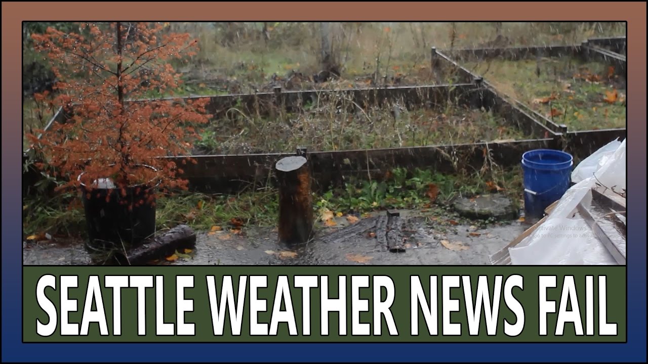 10142016: Seattle weather news fail | Vlog #1029 - YouTube