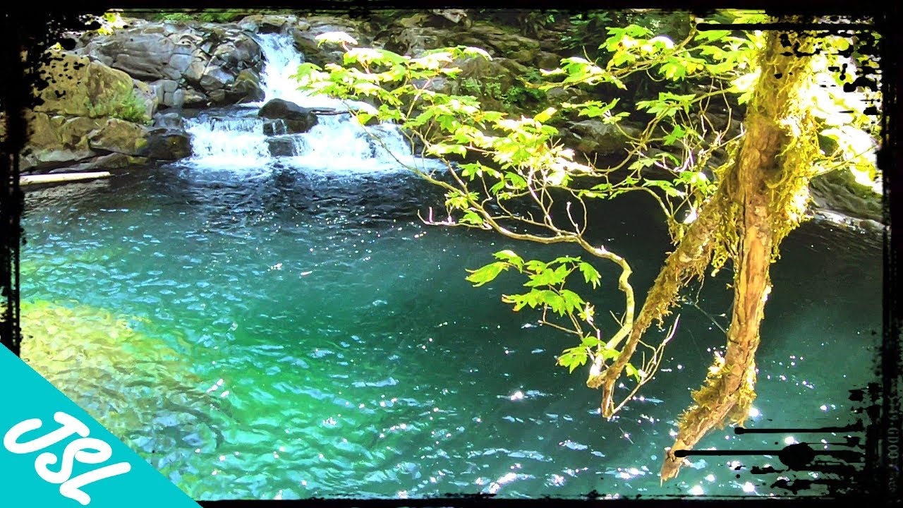 Siouxon Creek | MOST BEAUTIFUL Swimming Hole of Washington State - YouTube