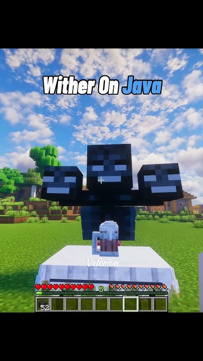 Java Wither VS Bedrock Wither 💀 #minecraft #minecraftshorts # ...