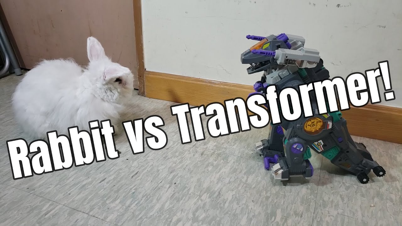 Rabbit versus Transformer! - YouTube