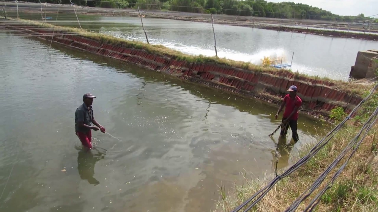 Dragging Pond Bottom - YouTube