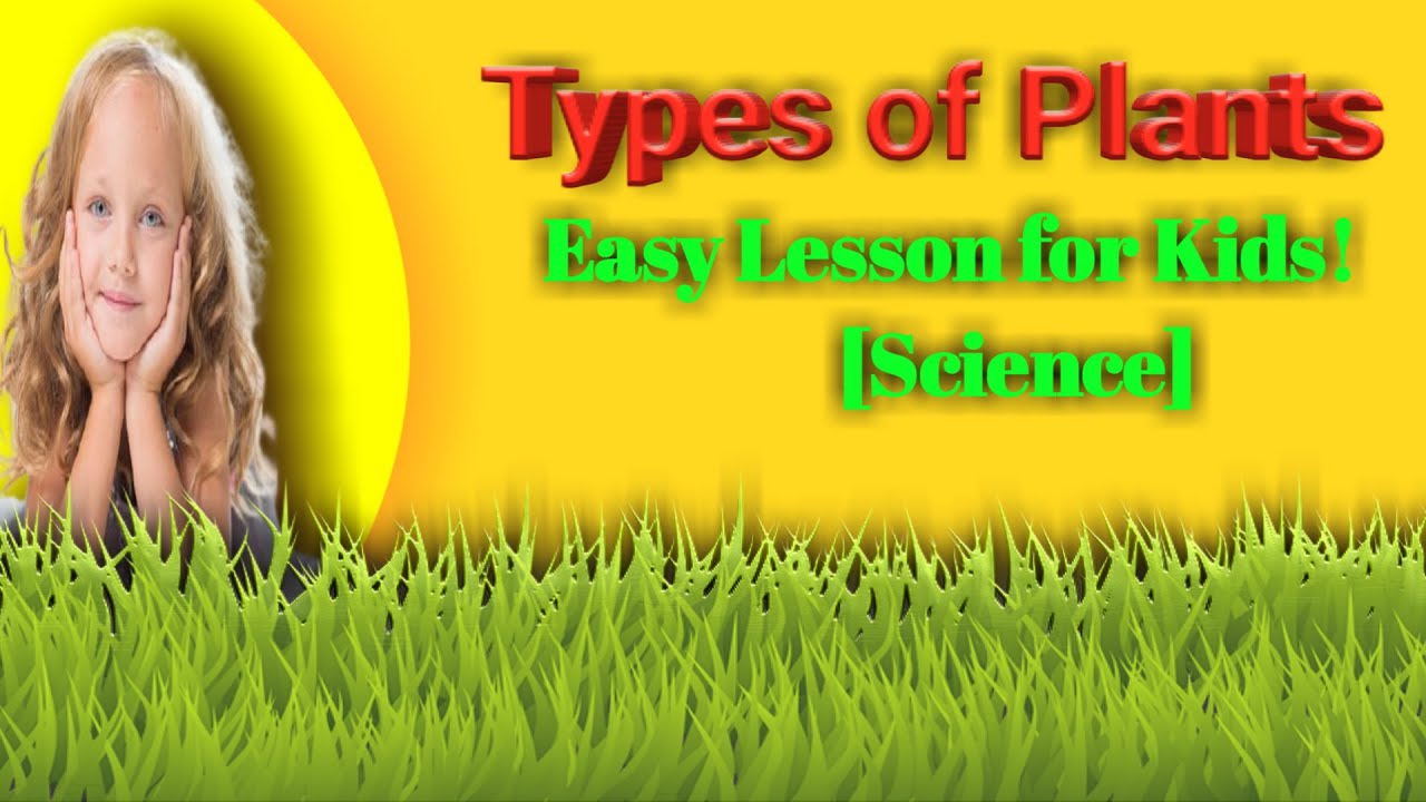 Types of Plants Easy Lesson for Kids - YouTube