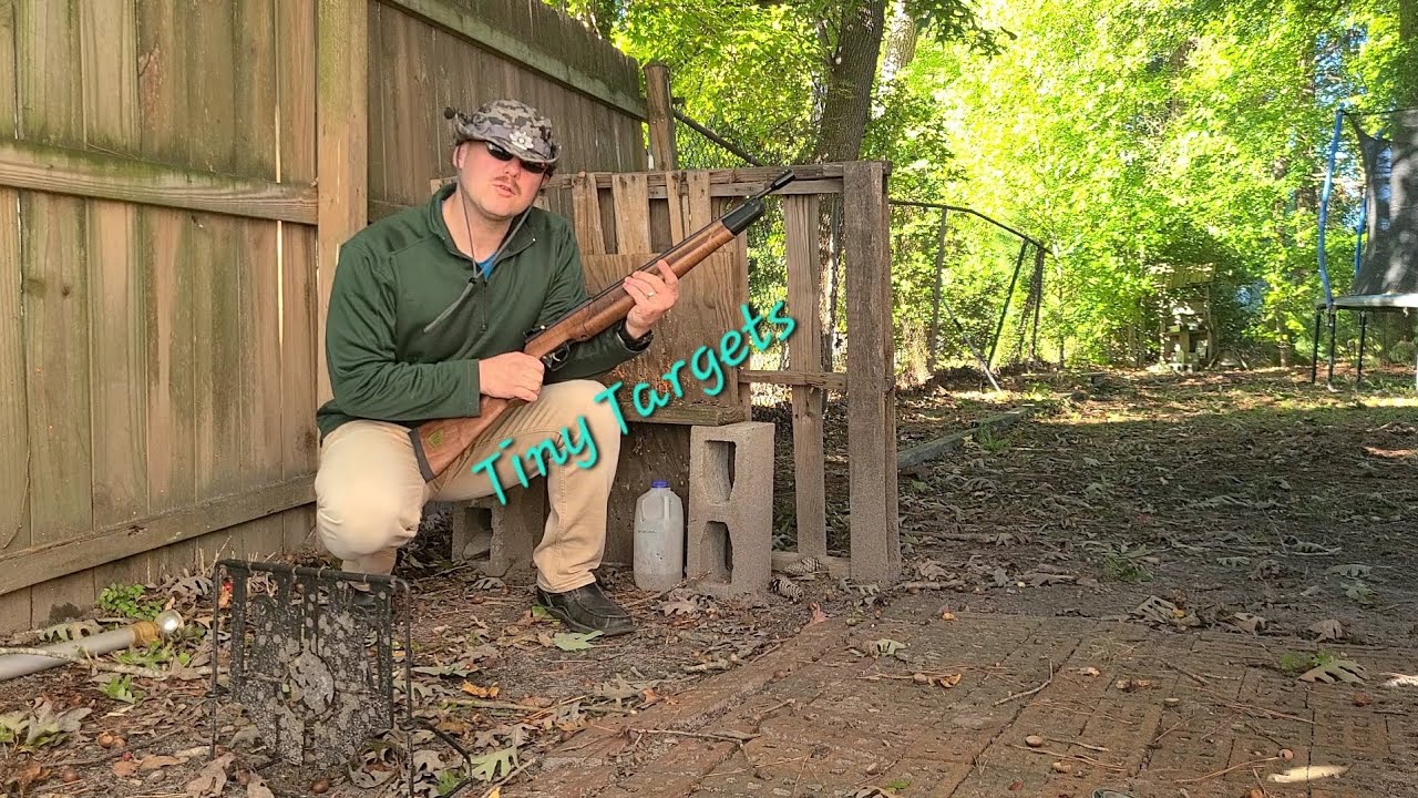 Tiny Targets: Backyard Plinking Fun With Crosman 362 100th Anniversary ...