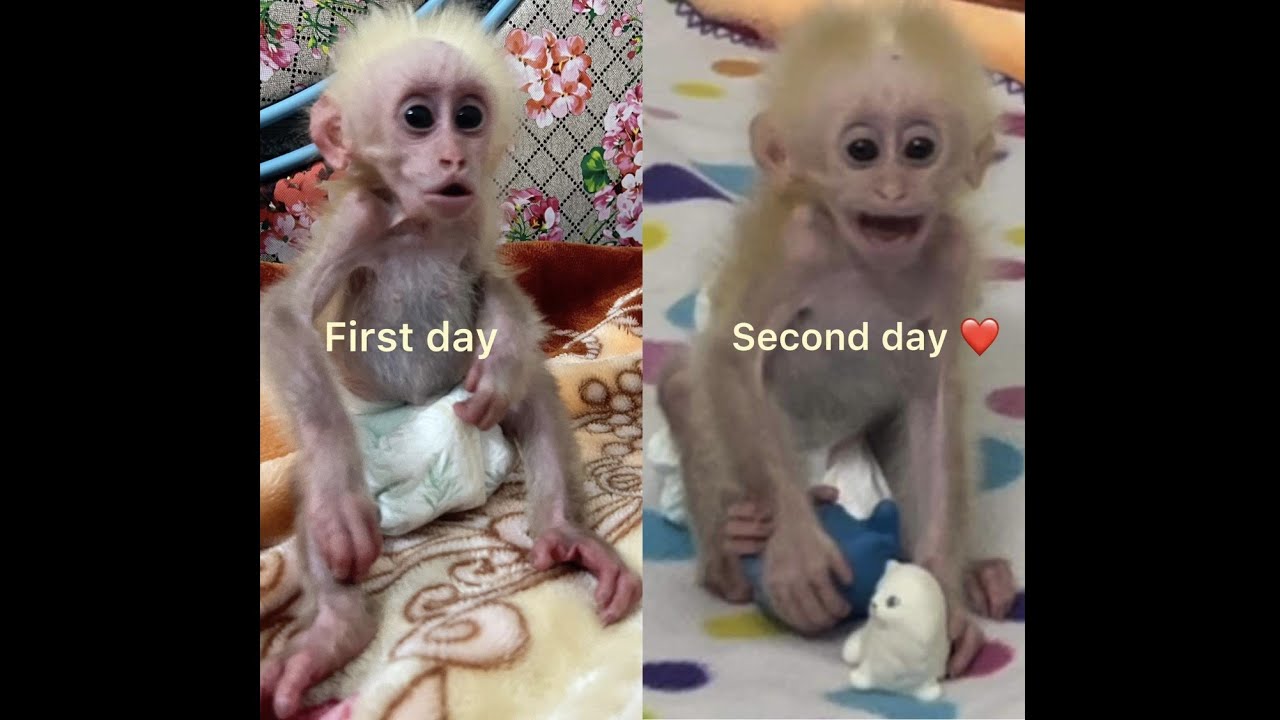 BABY JANE GETING BETTER, ,AND SHE WILL LIVE - YouTube