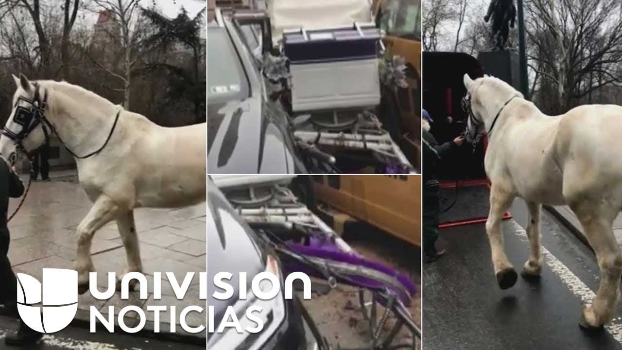 Caballo se desbocó en Nueva York cuando cargaba a tres turistas en un ...