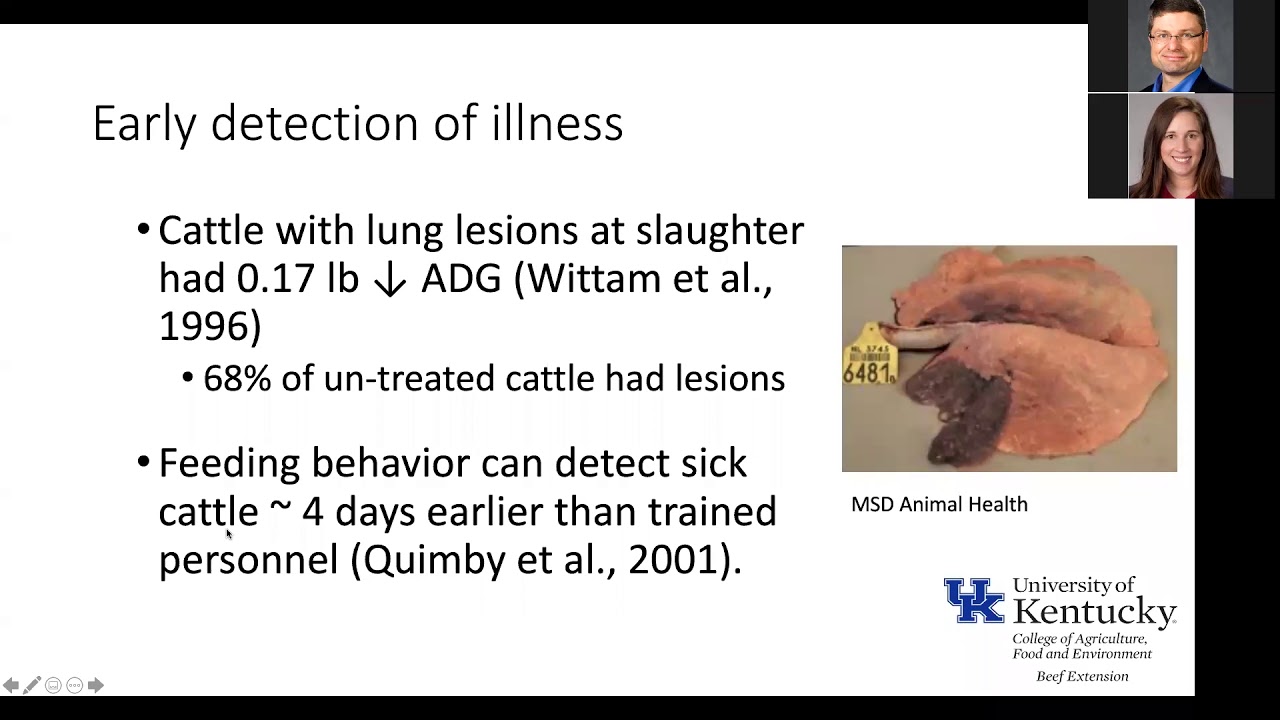 Precision Ag Technology for Beef Cattle - YouTube