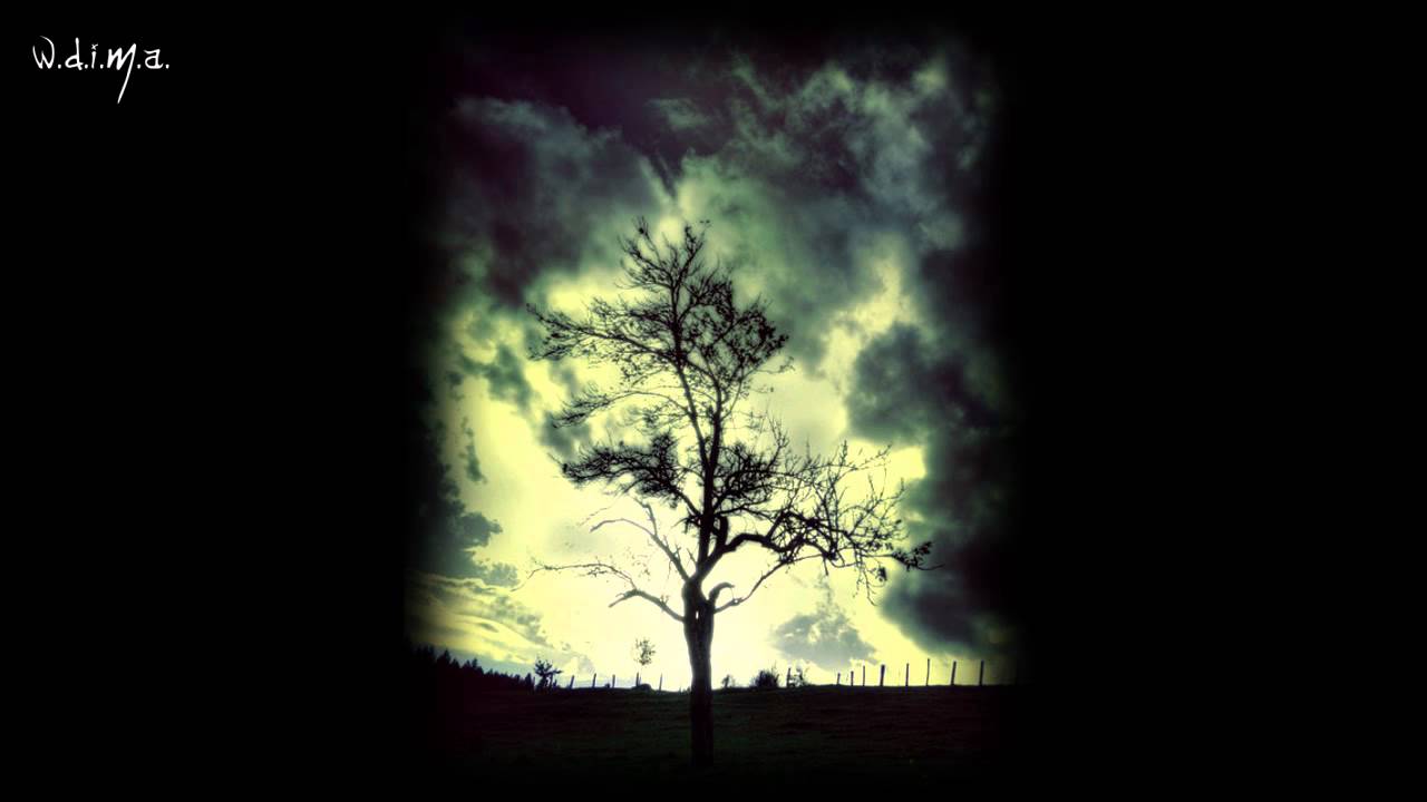 Aphotic Starfield - An Arena Of Open Sky - YouTube Music