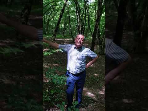 ,,XATİRƏLƏRDƏ\