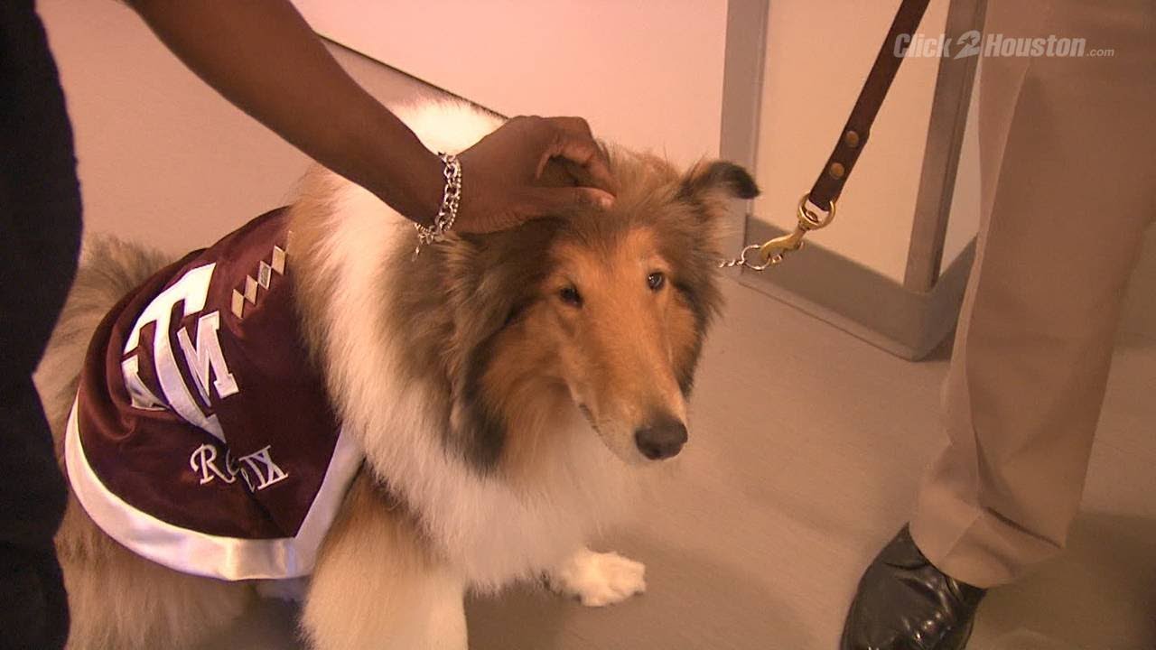 Miss Rev makes appearance on campus - YouTube