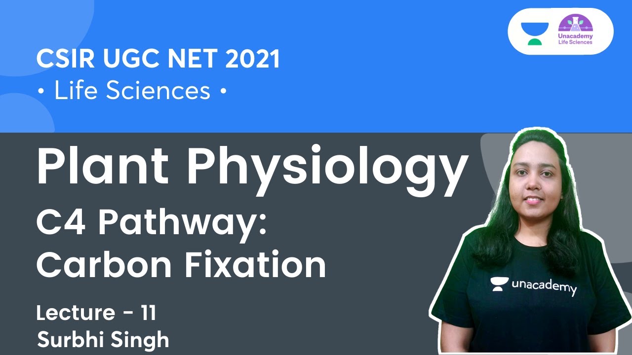 C4 Pathway: Carbon Fixation | Plant Physiology | CSIR UGC NET 2021 | By ...