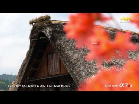 Sony Demo  Japan in 4K