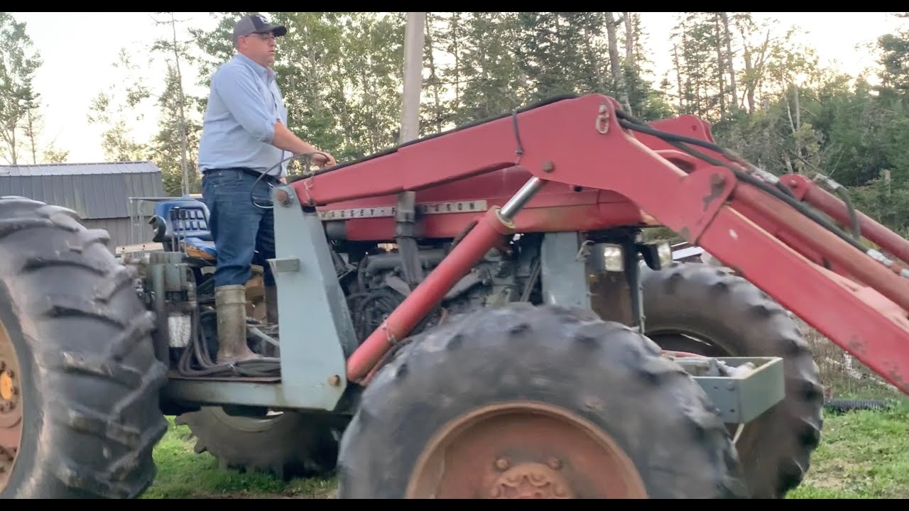 #189 - Second Mummy pig is ready to farrow & finally starting to ...