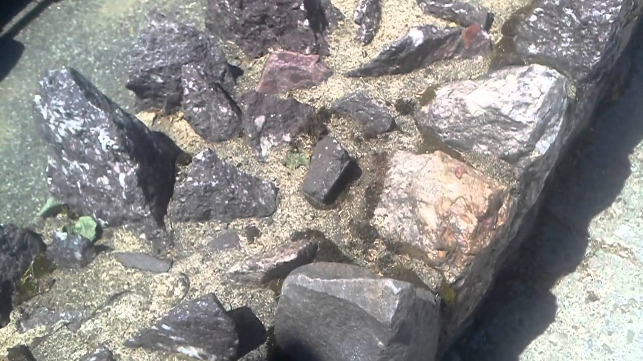 Puddingstone wall. - YouTube