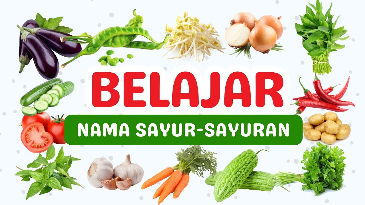 BELAJAR NAMA SAYUR-SAYURAN | MENGENAL NAMA SAYURAN UNTUK ANAK BALITA ...