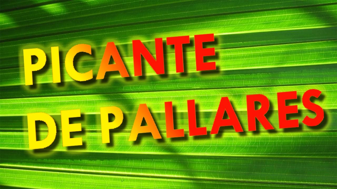 COMO PREPARAR PICANTE DE PALLARES VERDES | ICA PERU | Karin - YouTube