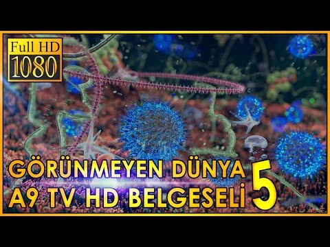 Görünmeyen Dünya 5 A9 TV HD Belgeseli
