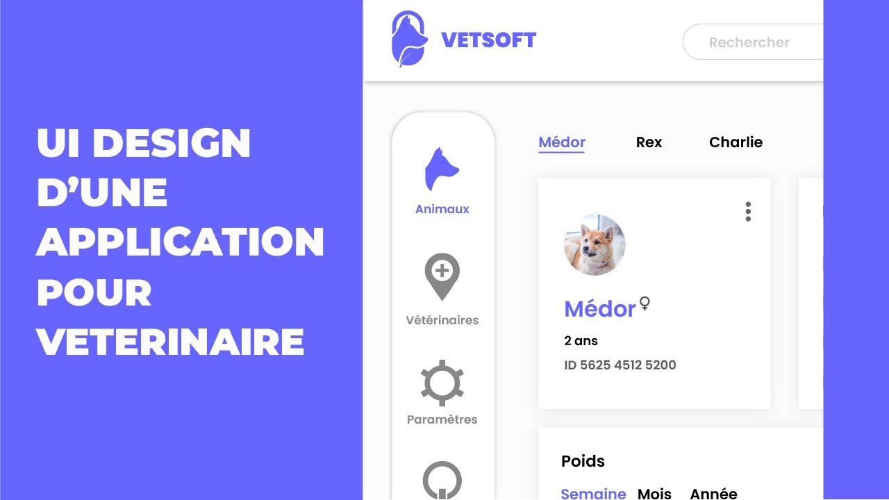 UI Design d'une application pour vétérinaire - YouTube
