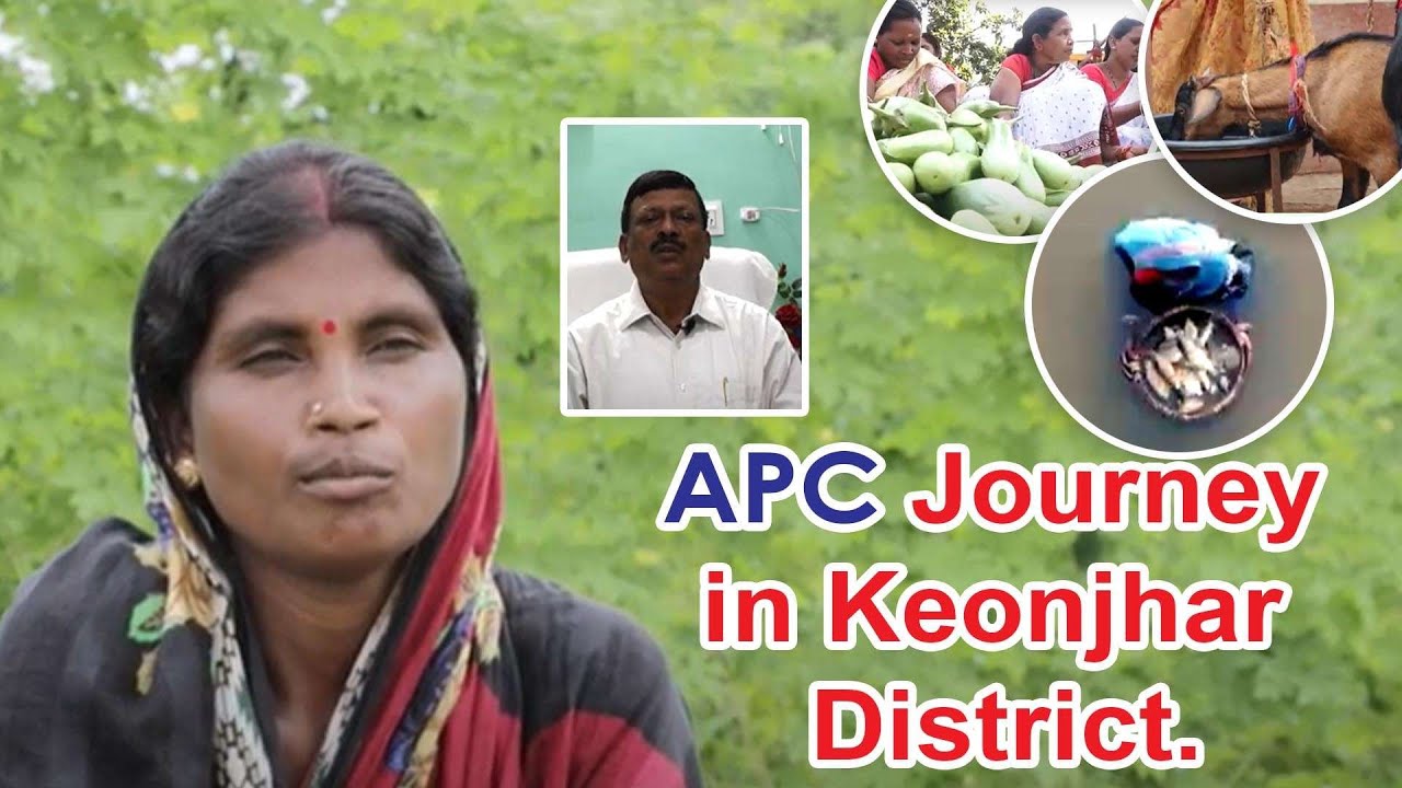 ଏପିସିର ଯାତ୍ରା କେନ୍ଦୁଝର ଜିଲ୍ଲାରେ / APC Journey so far in Keonjhar ...