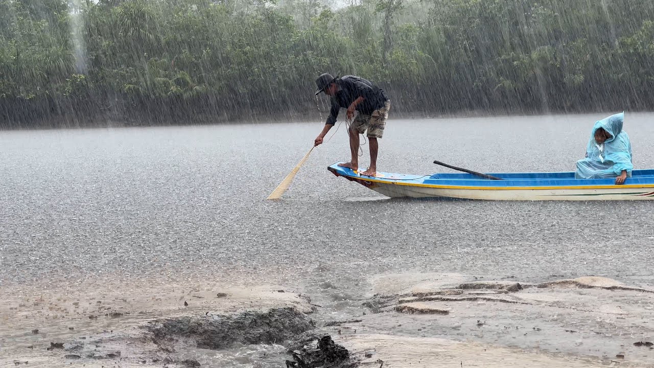 30 MINUTES FOR QUALITY RAINING SEASON SOUND IN MY REAL LIFE ON ...