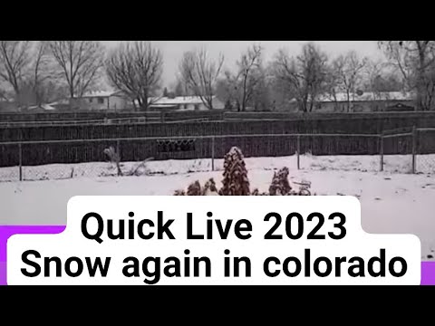2nd snow of the year 2023 live - YouTube