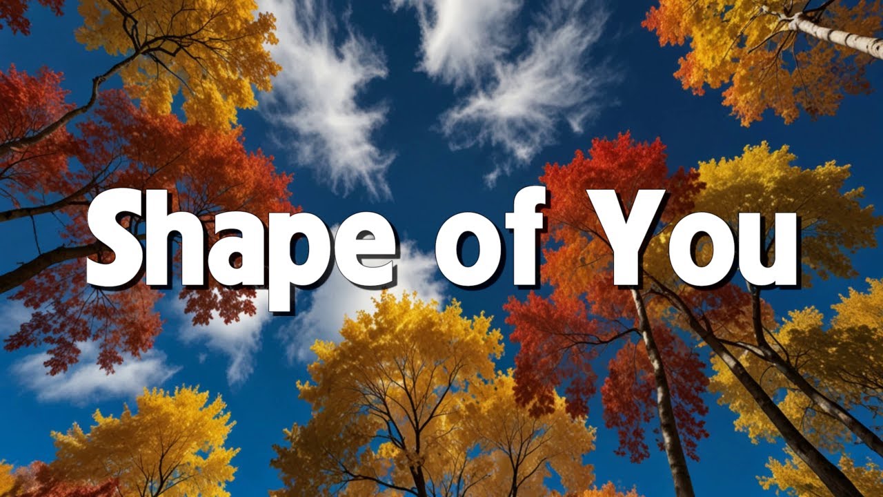 Ed Sheeran - Shape Of You (Lyrics) - I’m In Love In The Shape Of You ...