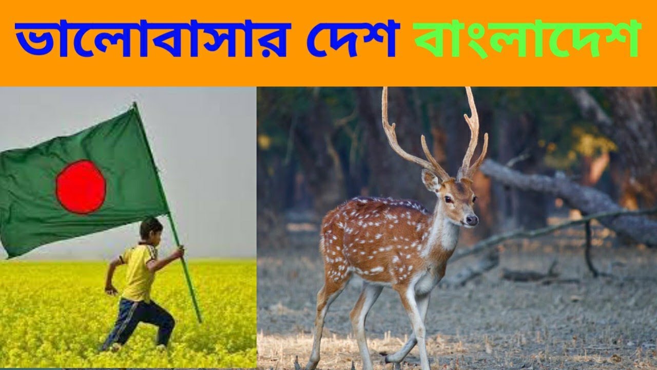 Facts About Bangladesh facts bengali facts-about-bangladesh-facts-bengali