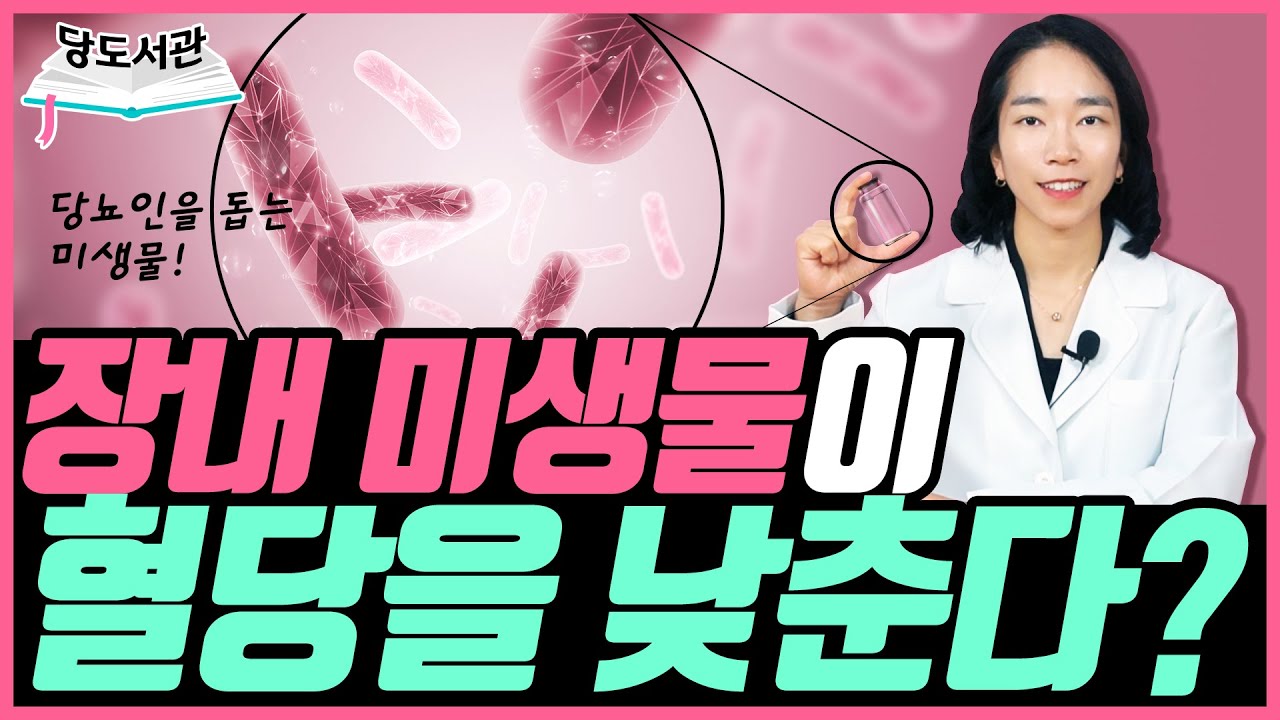 장내 미생물을 개선하면 당뇨가 치료됩니다 당뇨와 장내 미생물의 관계 Youtube