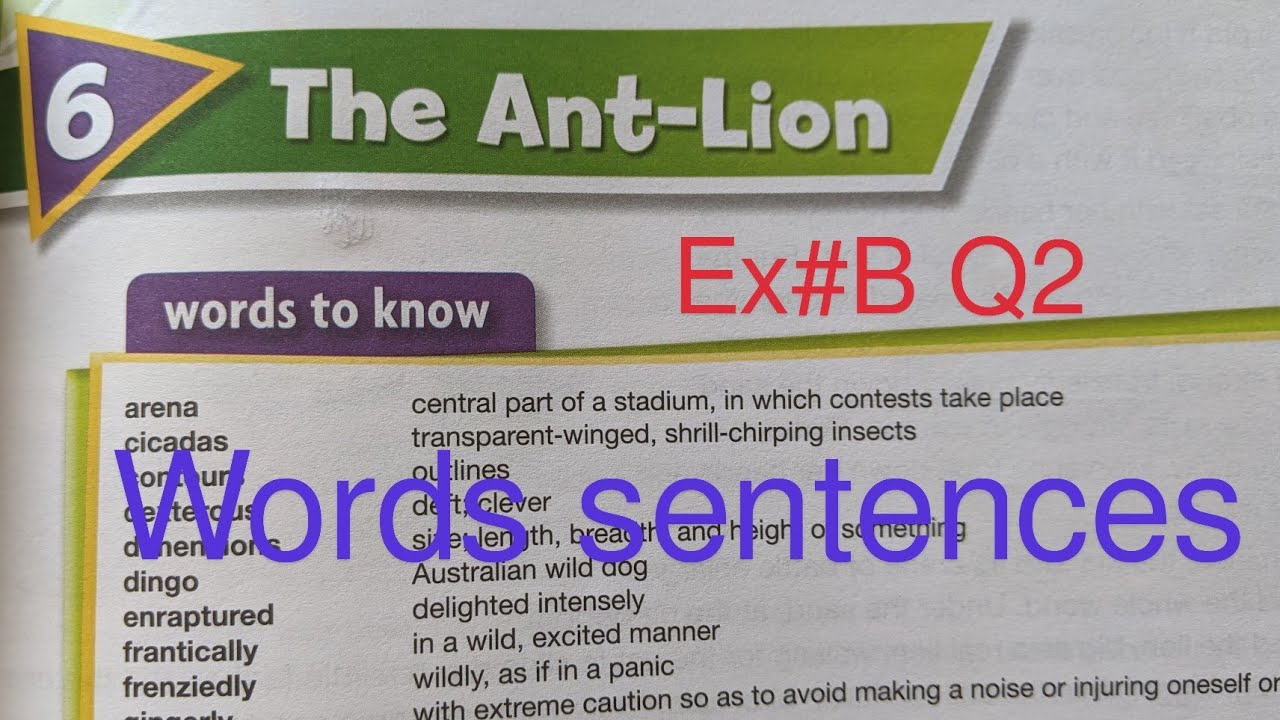 Ex#B Working with words| Q2 words sentences| New Oxford Modern English ...