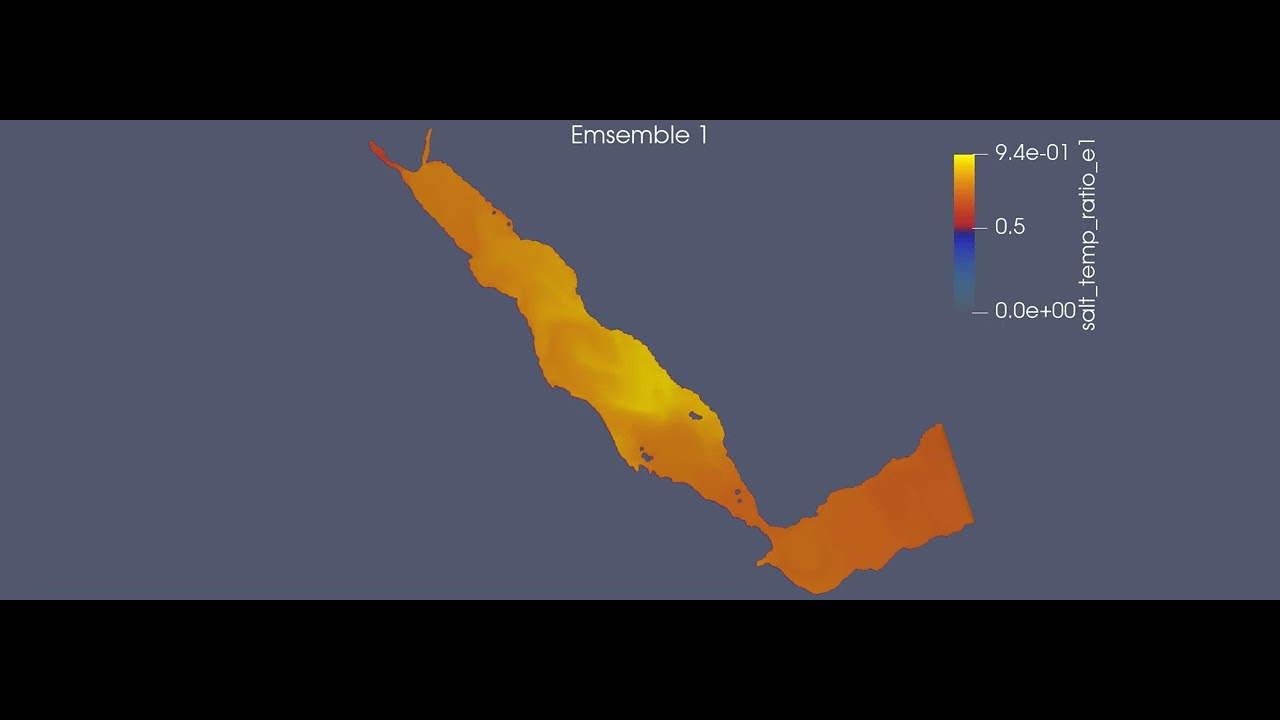 Salinity Temperature Correlation - Ensemble 1 - Red Sea - YouTube