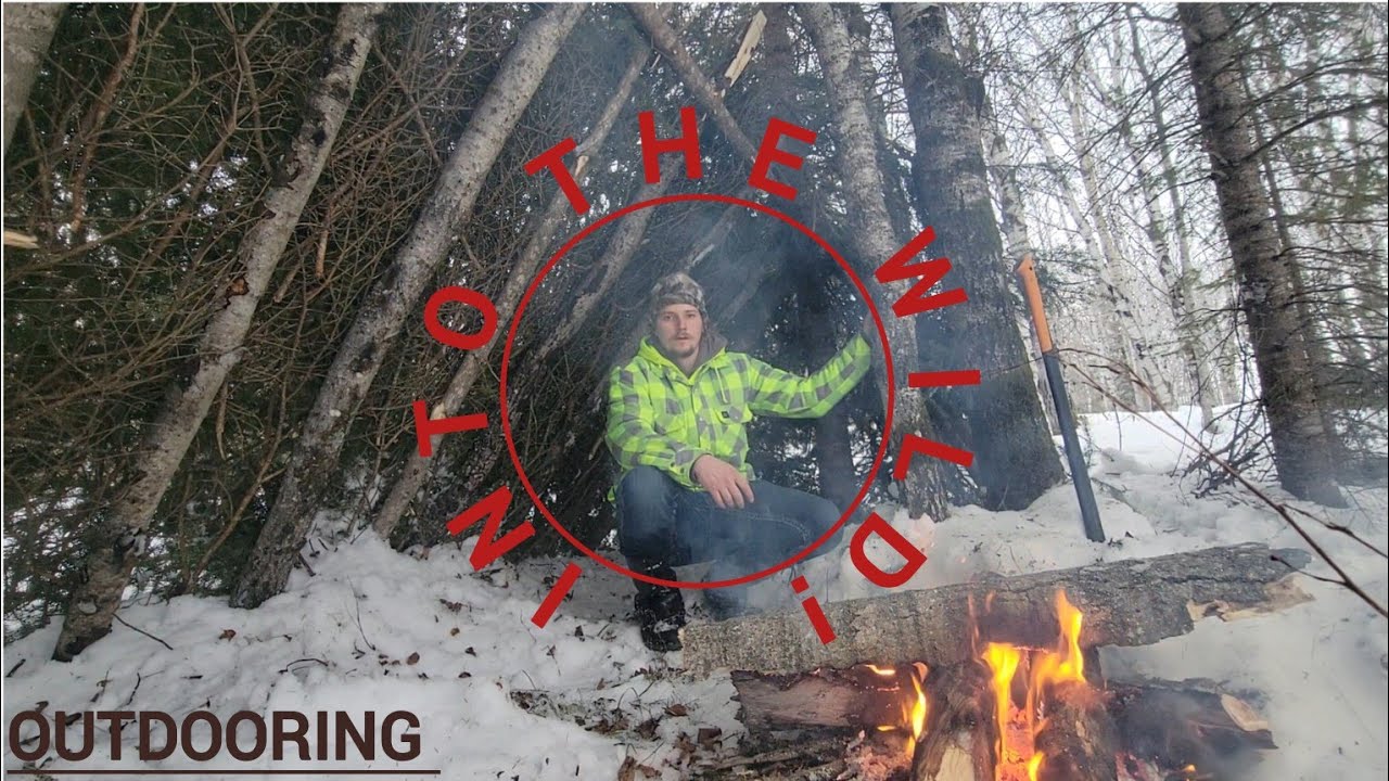 Building a survival shelter in WILD WOLF WILDERNESS🐺 | beautiful winter ...
