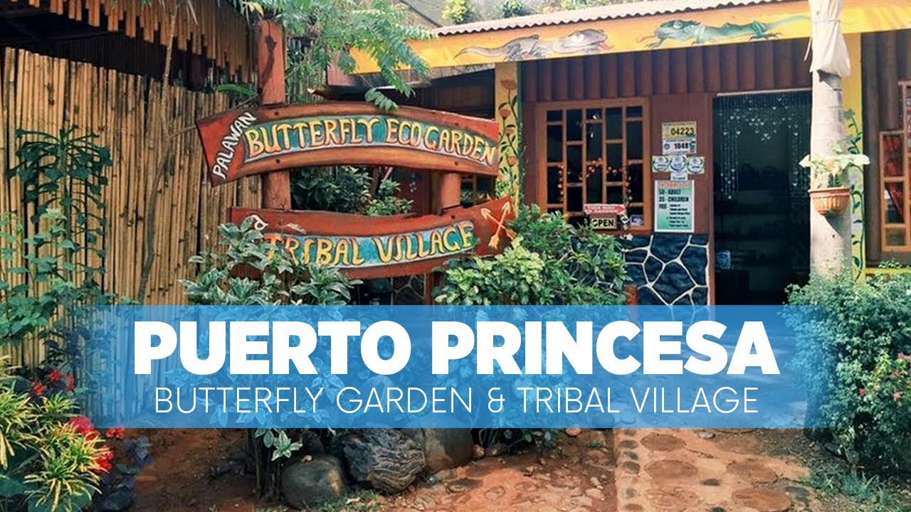 Palawan Butterfly Ecological Garden and Tribal Village - Puerto Princesa - YouTube