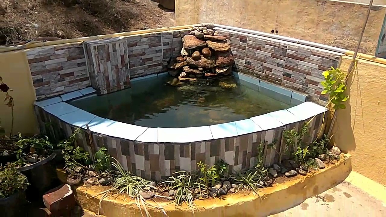 Roof top koi fish pond - YouTube