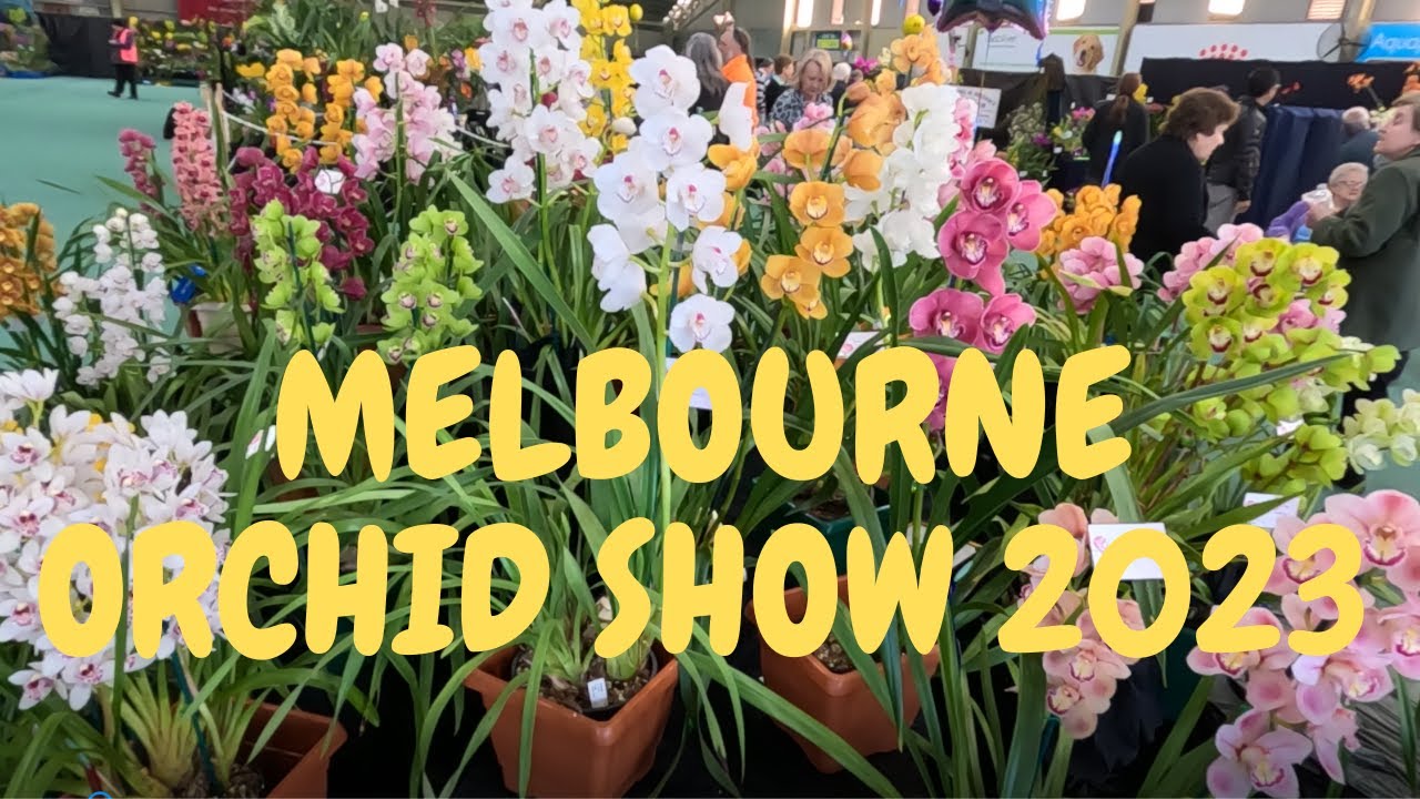 MELBOURNE ORCHID SHOW 2023 - YouTube